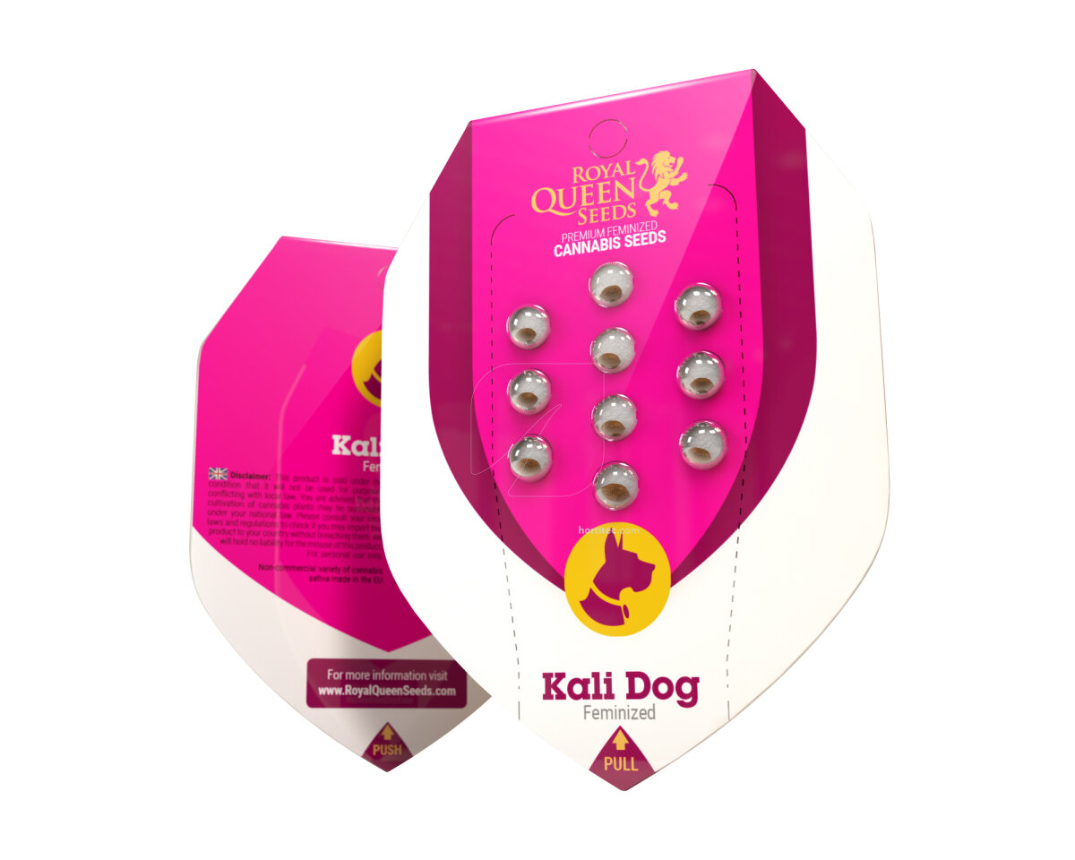 Kali Dog - Culture Garden